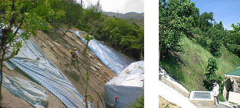 Slope Greening - RAITO KOGYO CO., LTD.